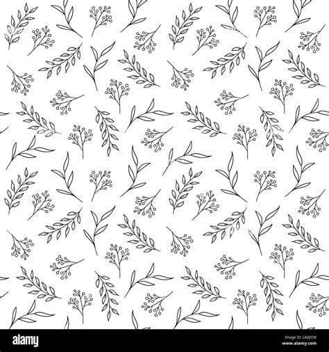 Floral Seamless Pattern Vector Hand Drawn Herbs Stock Vector Image Art Alamy