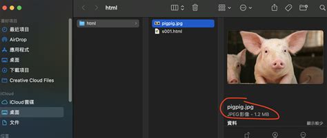 Html教學課程 入門篇 4個章節 由淺入深學習html 鬍子科技學院