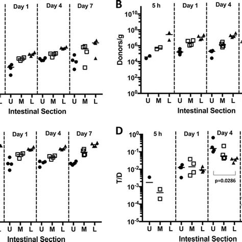 Plasmid Transfer In The Presence Of A Competing Microbial Community