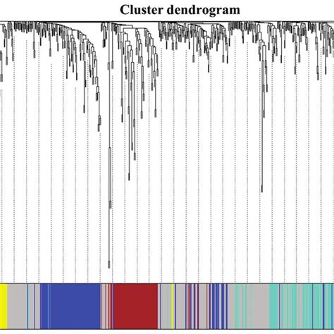 Clustering Dendrograms Of Genes With Dissimilarity Based On Topological