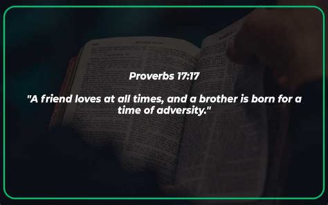 Proverbs 1717 Meaning And Commentary
