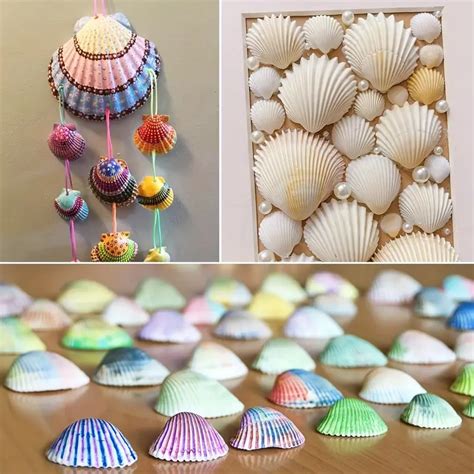 50개의 자연색 흰색 가리비 껍데기 15 2 범용 계절 장식 공예 및 해변 테마 파티 용품 전기 필요 Temu Republic Of Korea