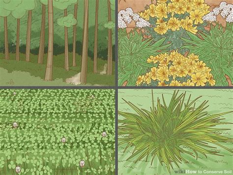 How To Conserve Soil 12 Steps With Pictures WikiHow