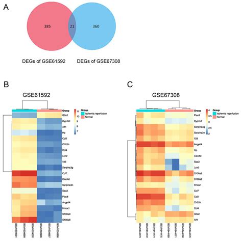 Venn Diagram And Hierarchical Cluster Analysis Of Overlapping