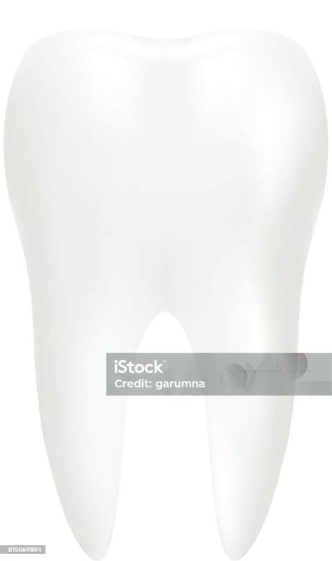 치아 3d 렌더링 치과 의학 및 건강 개념 디자인 요소는 흰색 바탕에 고립 현실적인 벡터 일러스트 레이 션 건강관리와 의술에 대한 스톡 벡터 아트 및 기타 이미지 Istock