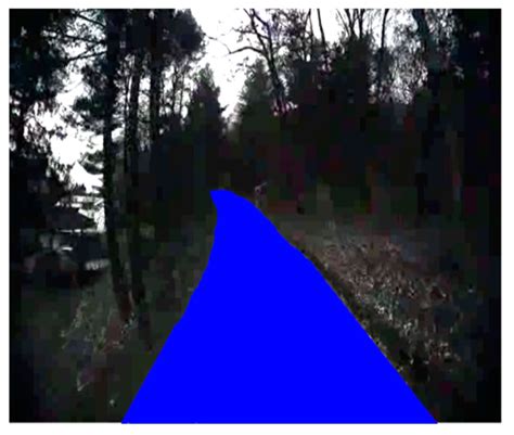 Developing Forest Road Recognition Technology Using Deep Learning Based Image Processing