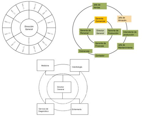 Organigrama Circular Que Es Y Sus Características Ejemplos