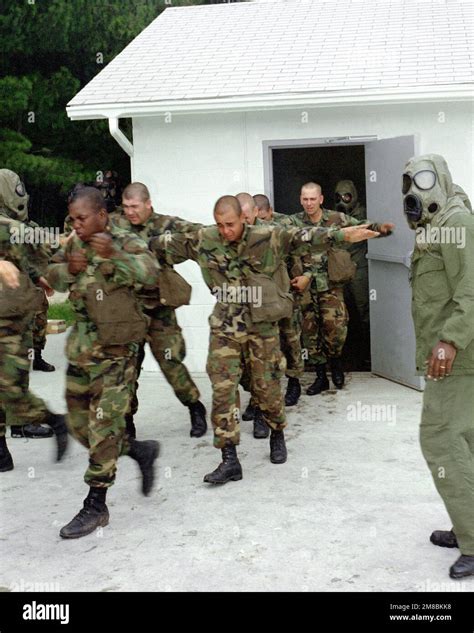 Drill Instructors Wearing M 17a1 Chemical Biological Masks Stand By As