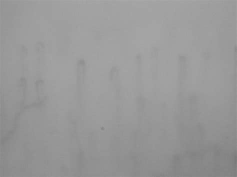 Difference In RGB L A B Transformation In OpenCV And ImageJ Stack Overflow