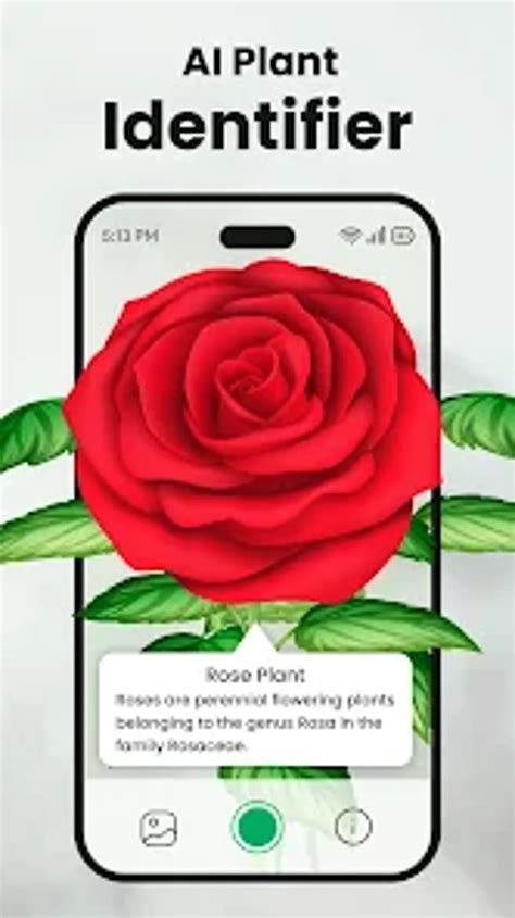 Plantology Plant Identifier For Android Download Plantology Plant Identifier For Android Download