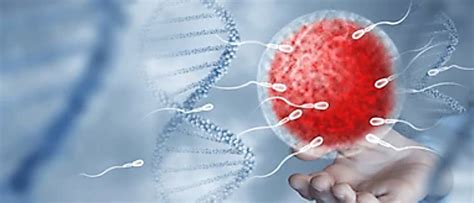 Spinal Muscular Atrophy Sma Diagnosis Guidelines Optimizing Testing Protocols For Clinicians
