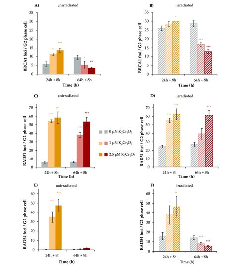 Brca1 Rad51 And Rad54 Foci Formation After Cr Vi Treatment And Download Scientific Diagram