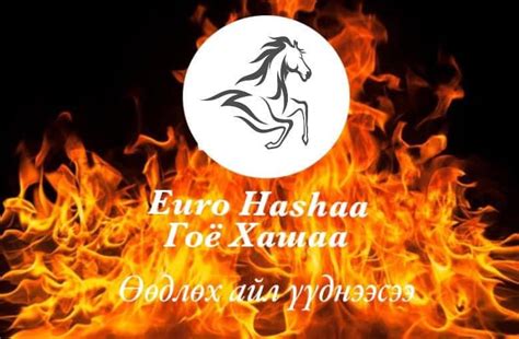 🇲🇳”ГОЁ ХАШАА евро хашааны үйлдвэр 🇲🇳 Манай хамт олон та бүхэнд хамгийн хямд үнээр хамгийн