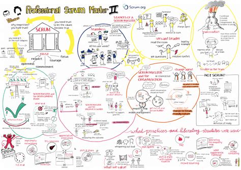 Professional Scrum Master Advanced