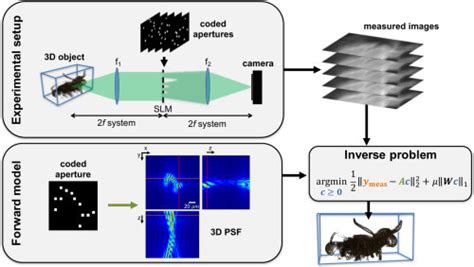 Multiplexed Phase Space Imaging For 3d Fluorescence Microscopy