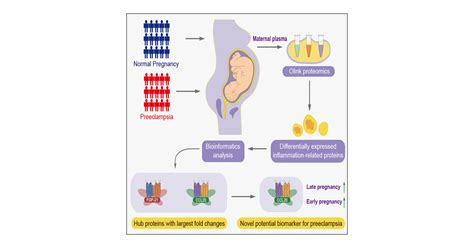 Plasma Olink Proteomics Identifies Ccl20 As A Novel Predictive And