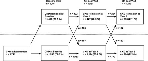 Flowchart Showing Numbers Of Participants Demonstrating Ckd And Ckd Download Scientific Diagram