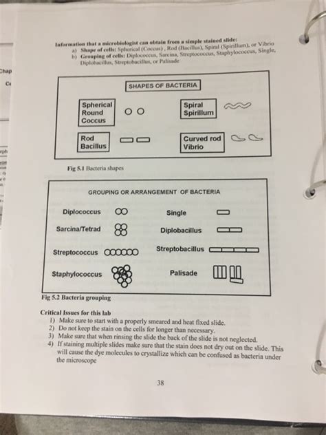 Solved MODULE S SIMPLE STAINING OBJECTIVES Be Familiar Or Be Chegg Com