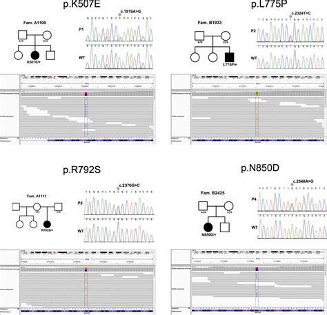 Congenital Secretory Diarrhoea Caused By Activating Germline Mutations