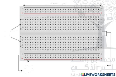 Dd Free Exercise Live Worksheets