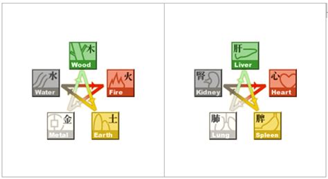 the relationship between the five elements mutual restriction cycle