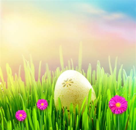 Colored Easter Egg On Green Grass Stock Image Image Of Blue Flower