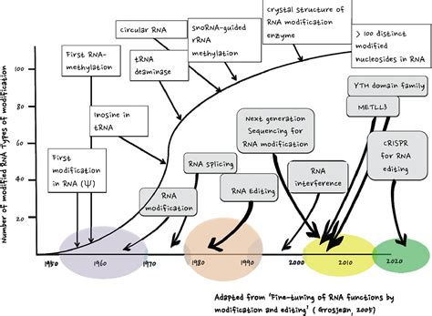 December 2020 Silview Media