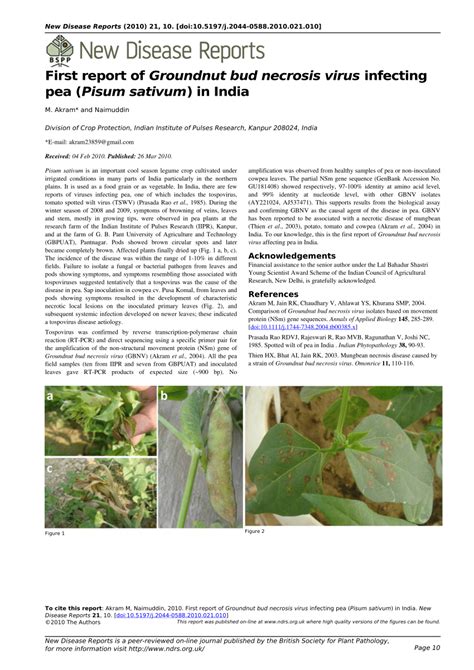 Pdf First Report Of Groundnut Bud Necrosis Virus Infecting Pea Pisum