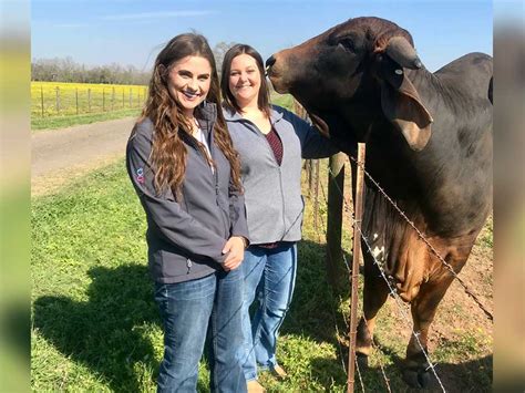 Thanks For The Great Visit To Hk Cattle By Adelyn Allen And Scarlet