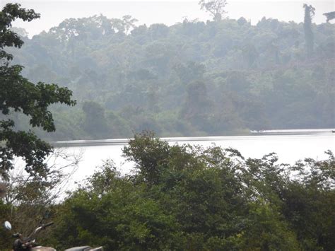 Pierre A Mvogo Ndongo Conservation Of The Recently Re Discovered