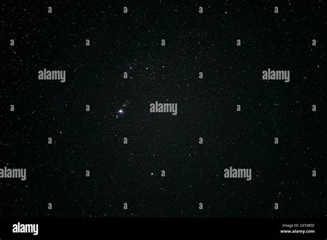 Orion Nebula Also Known As Messier 42 M42 Or Ngc 1976 With Its Neighbor Stars Of Orion