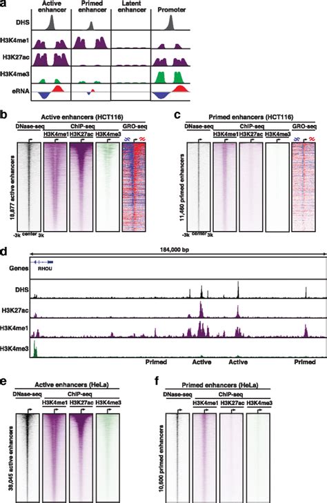 Definition Of Enhancer States And Validation Of Enhancer Prediction