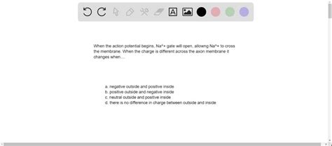 ⏩solvedduring The Repolarizing Phase Of The Nerve Action Potential