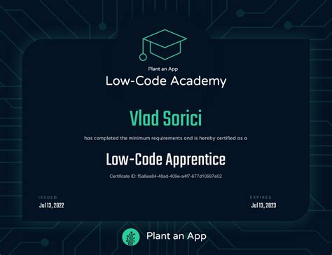 vlad sorici on linkedin lowcode lowcodeacademy training development