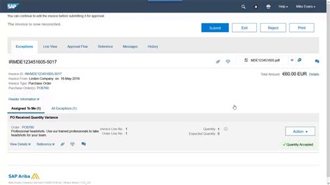 Ariba Invoice Professional Finalmyte