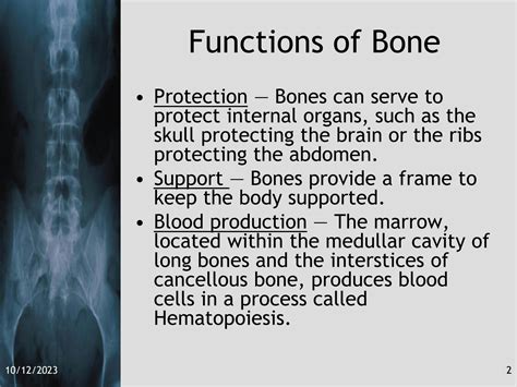 SOLUTION Bone Tissue And The Skeletal System Studypool