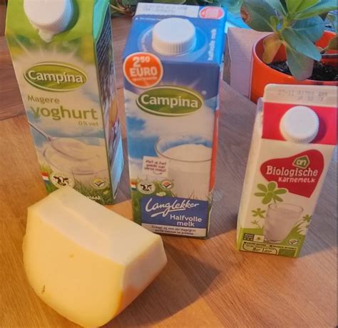 History Of Pasteurization Making Milk Safe To Drink FoodCrumbles