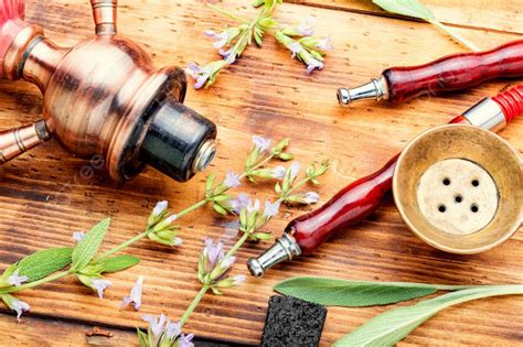 세이지 향이 있는 허브 후카 담배에 대한 흡연 시샤후카의 세부 사항 세이지 향이 나는 훈제 시샤 사진 배경 및 무료 다운로드를위한 그림 Pngtree