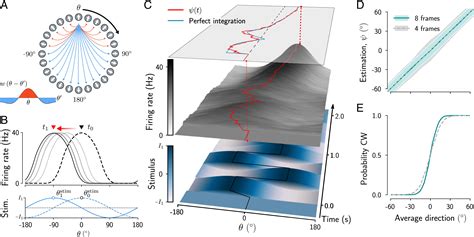 Flexible Integration Of Continuous Sensory Evidence In Perceptual Estimation Tasks Pnas