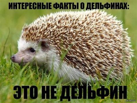 Логичная логика | Пикабу