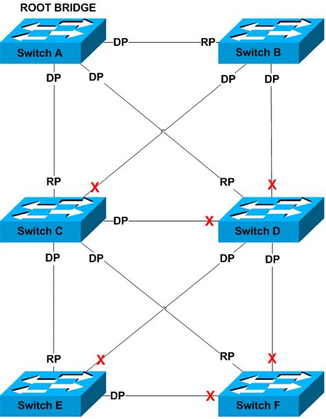 Spanning Tree Protocol Fir Net
