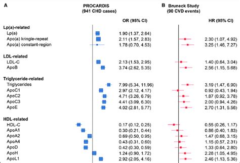 Risk Of Chd In Procardis And Of Cvd In Bruneck In Top Versus Bottom Download Scientific
