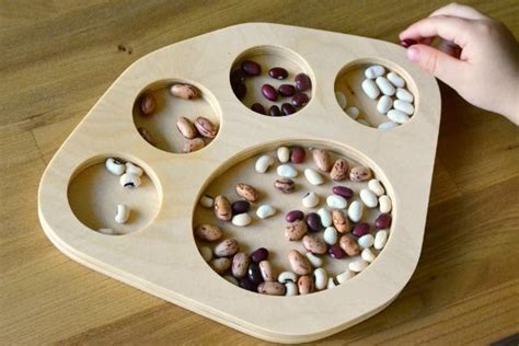 Montessori Inspired Activity Sorting Dried Beans