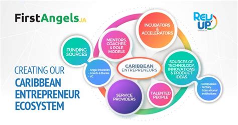 Creating Our Caribbean Entrepreneur Ecosystem
