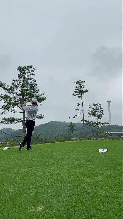 골프 3개월차 잘 못쳐도 굿샷을 외쳐주는 착한 친구들 골프 골린이 골프초보 머리올린날 머리올리기 드라이버 드라이버샷 골프장 굿샷 Youtube