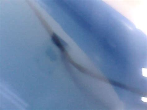 Underwater Object Detection 2 Object Detection Dataset And Pre Trained Model By 20bme058 Musab