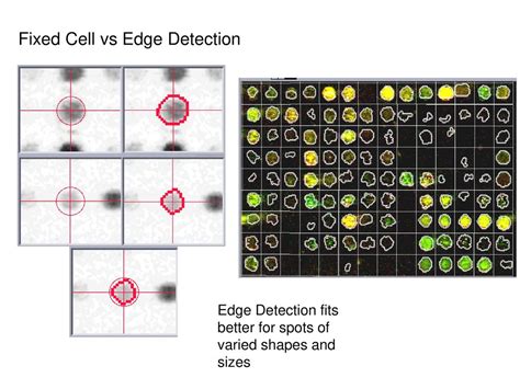 microarrays chipping away at the mysteries of science and medicine