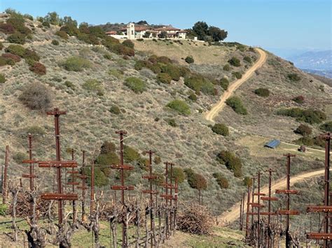 High On Ojais Quality Wines Truthnwine
