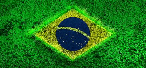Brazil Grass Texture Background Brazil Grass Texture Background