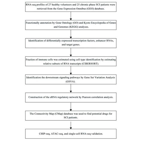 The Analysis Flowchart Of All Analysis Processes Download